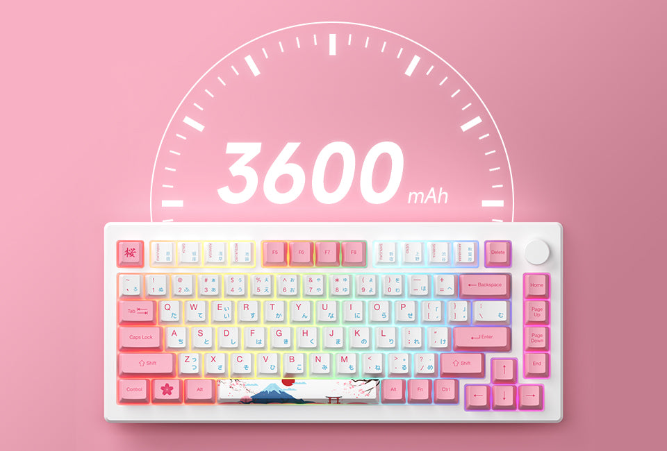 [Limited Edition] Akko MOD 007 V3 HE Year of Dragon – Akko Thailand